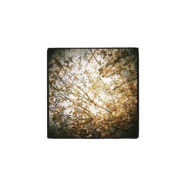 【発売日：2010年05月19日】ホース・フェザーズ/シスルド・スプリング、メディア：CDA、発売日：2010/05/19、商品コード：PCD-24251、JANコード/ISBNコード：4995879242513