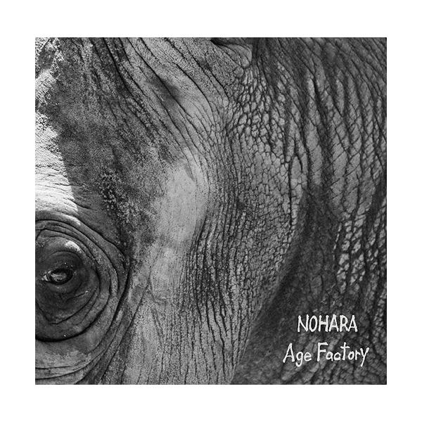 【発売日：2015年09月16日】Age Factory/NOHARA、メディア：CDA、発売日：2015/09/16、商品コード：PECF-3154、JANコード/ISBNコード：4544163467592