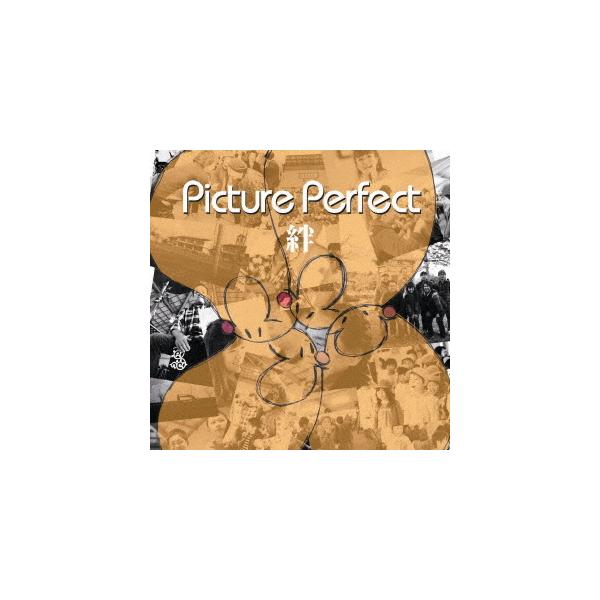 【発売日：2013年03月04日】Picture Perfect/絆、メディア：CDA、発売日：2013/03/04、商品コード：PICT-1006、JANコード/ISBNコード：4546266206443