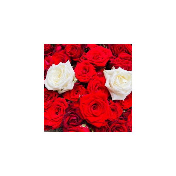 【発売日：2025年11月05日】ハイエナカー/世界中に張り巡らされてる運命の赤い糸を全部切って僕に繋いで!?、メディア：CDA、発売日：2025/11/05、商品コード：REME-1、JANコード/ISBNコード：4988044129177