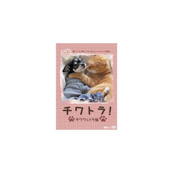 【発売日：2007年10月25日】趣味教養/チワトラ! チワワとトラ猫★凛(リン)と正宗にぃちゃんのビューティフォーな毎日!、メディア：DVD、発売日：2007/10/25、商品コード：SDA-79、JANコード/ISBNコード：49459...