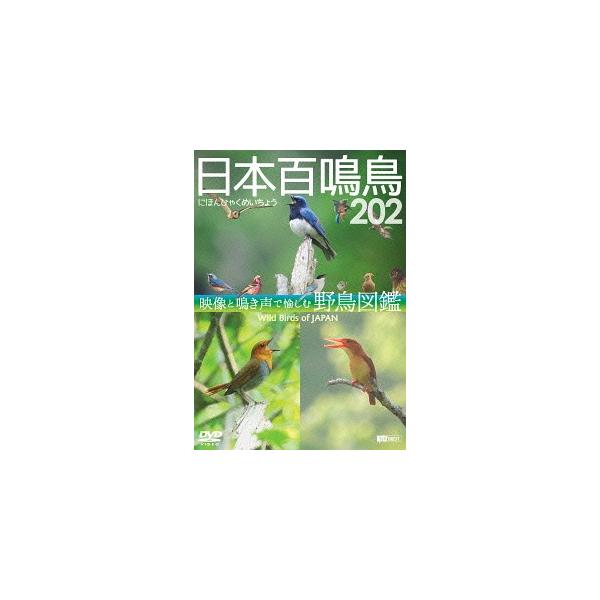 【発売日：2014年04月25日】趣味教養/日本百鳴鳥 202 / 映像と鳴き声で愉しむ野鳥図鑑、メディア：DVD、発売日：2014/04/25、商品コード：SDB-13、JANコード/ISBNコード：4945977201424