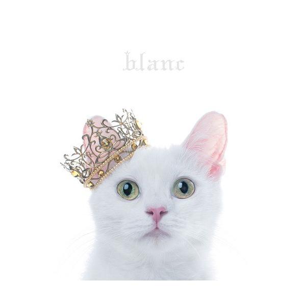 【発売日：2017年05月03日】Aimer/BEST SELECTION "blanc" [通常盤]、メディア：CDA、発売日：2017/05/03、商品コード：SECL-2143、JANコード/ISBNコード：4547366299816