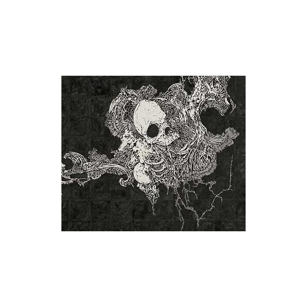 【発売日：2007年10月24日】Dir en grey/DOZING GREEN [通常盤]、メディア：CDA、発売日：2007/10/24、商品コード：SFCD-52、JANコード/ISBNコード：4529123000521