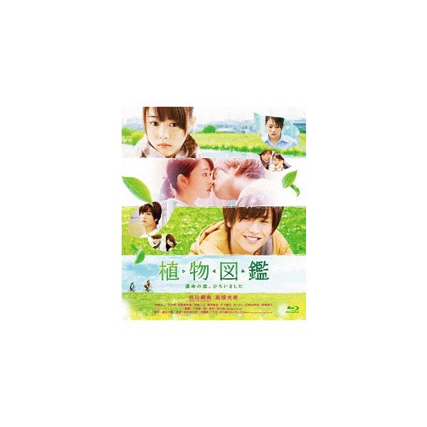 【発売日：2016年12月07日】邦画/植物図鑑 運命の恋、ひろいました [通常版]、メディア：Blu-ray、発売日：2016/12/07、商品コード：SHBR-426、JANコード/ISBNコード：4988105104808