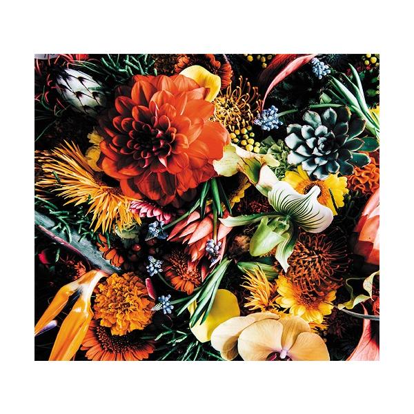 【発売日：2019年03月06日】SALVALAI/Variety、メディア：CDA、発売日：2019/03/06、商品コード：SLVC-1、JANコード/ISBNコード：4580341197189