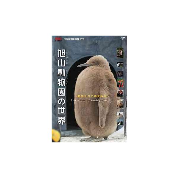 【発売日：2007年04月11日】趣味教養/旭山動物園の世界〜動物たちの春夏秋冬、メディア：DVD、発売日：2007/04/11、商品コード：SSBX-2178、JANコード/ISBNコード：4571167676125