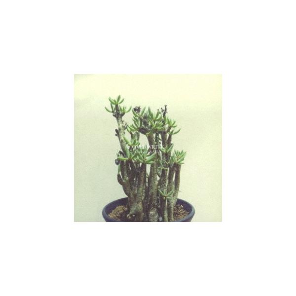 【発売日：2021年06月02日】0velocity &amp; AJI-Y/OVERWRITE.、メディア：CDA、発売日：2021/06/02、商品コード：STCWCD-9、JANコード/ISBNコード：4526180562368