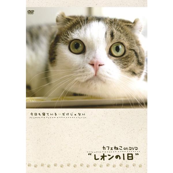 【発売日：2009年10月16日】趣味教養/カフェねこonDVD レオンの1日、メディア：DVD、発売日：2009/10/16、商品コード：TACAT-1、JANコード/ISBNコード：4560393240019
