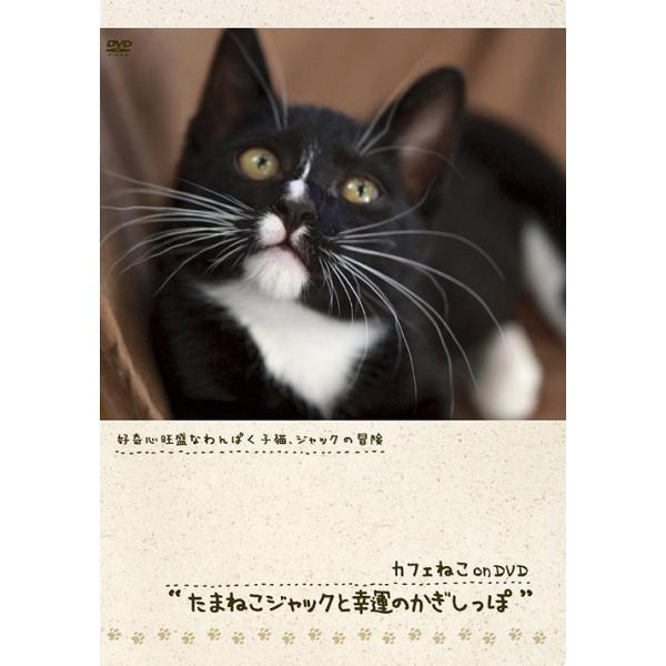 【発売日：2009年10月16日】趣味教養/カフェねこonDVD たまねこジャックと幸運のかぎしっぽ、メディア：DVD、発売日：2009/10/16、商品コード：TACAT-2、JANコード/ISBNコード：4560393240026
