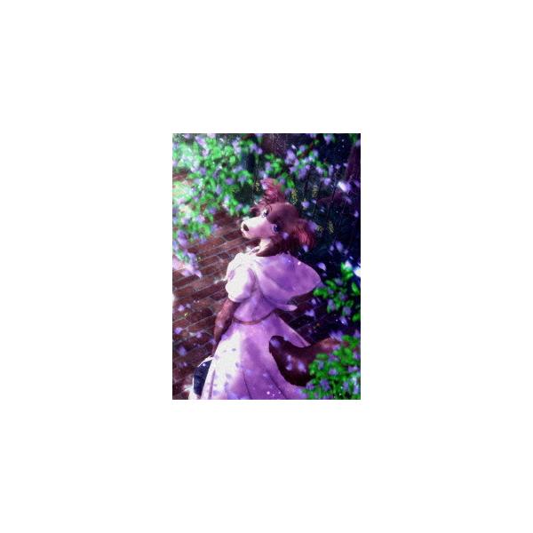 【発売日：2020年06月17日】アニメ/BEASTARS Vol.4、メディア：Blu-ray、発売日：2020/06/17、商品コード：TBR-29244D、JANコード/ISBNコード：4988104122445