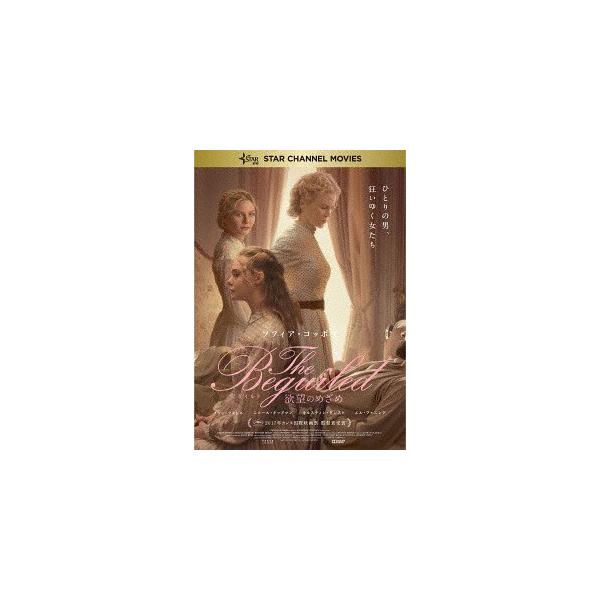 【発売日：2018年11月09日】洋画/The Beguiled ビガイルド 欲望のめざめ、メディア：DVD、発売日：2018/11/09、商品コード：TCED-4197、JANコード/ISBNコード：4562474197571