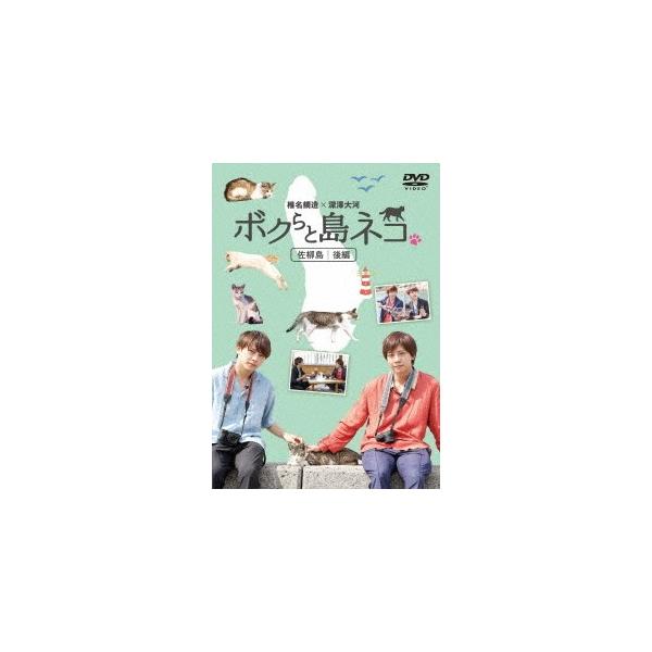 【発売日：2020年02月26日】ドキュメンタリー/「ボクらと島ネコ。 in 佐柳島 後編」 椎名鯛造×深澤大河、メディア：DVD、発売日：2020/02/26、商品コード：TCED-4821、JANコード/ISBNコード：45624742...