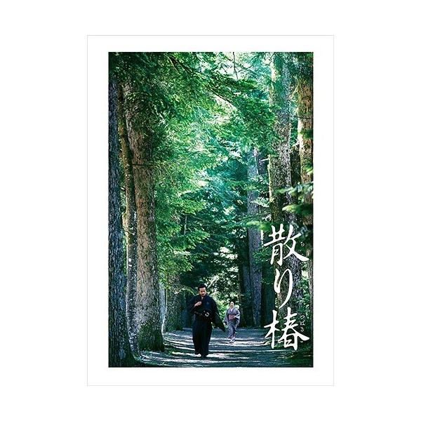 【発売日：2019年04月17日】邦画/散り椿、メディア：DVD、発売日：2019/04/17、商品コード：TDV-29065D、JANコード/ISBNコード：4988104120656