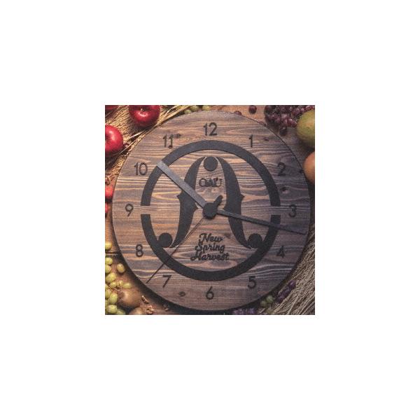 【発売日：2022年02月02日】OAU/New Spring Harvest [CD+DVD]、メディア：CDA、発売日：2022/02/02、商品コード：TFCC-86825、JANコード/ISBNコード：4988061868257