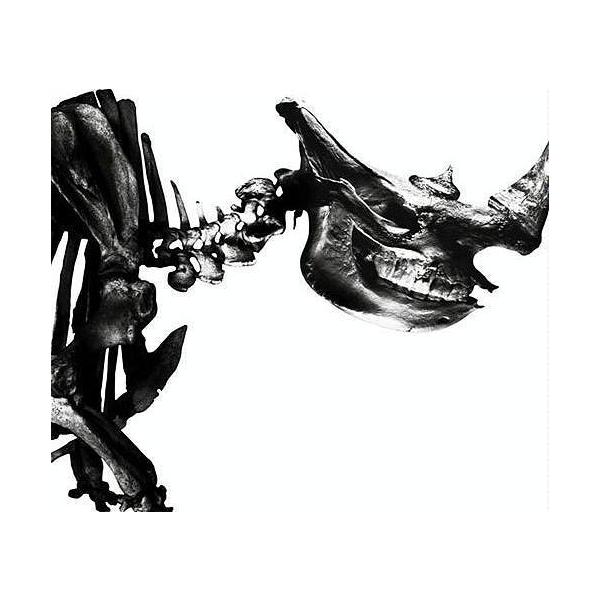 【発売日：2001年07月11日】Mr.Children/Mr.children 1996-2000、メディア：CDA、発売日：2001/07/11、商品コード：TFCC-88181、JANコード/ISBNコード：4988061881812