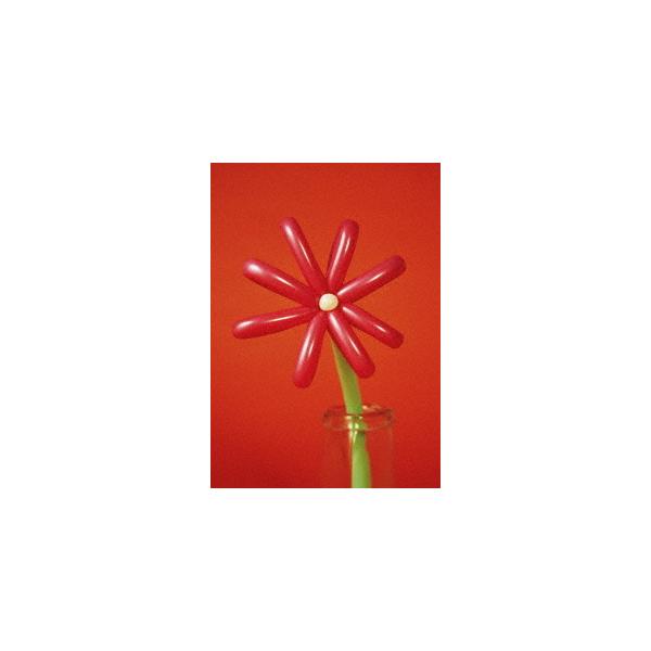 【発売日：2022年09月28日】マカロニえんぴつ/MACAROCK'N LIVE-1 [通常盤]、メディア：Blu-ray、発売日：2022/09/28、商品コード：TFXQ-78218、JANコード/ISBNコード：4988061782188