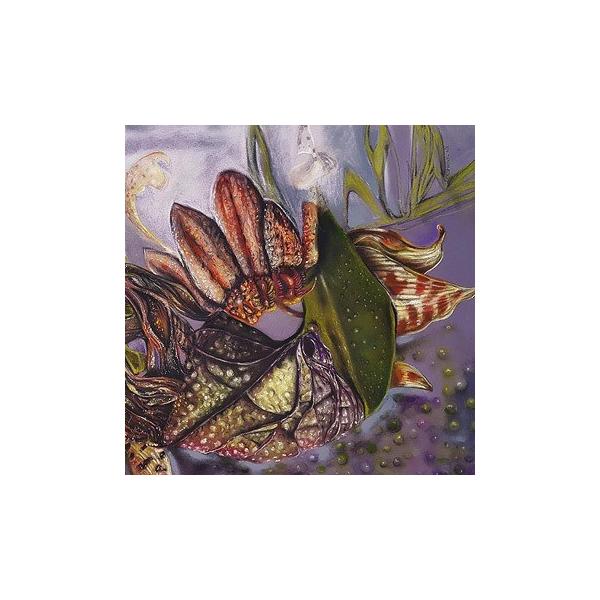 【発売日：2019年03月22日】TRIOLA/Chiral、メディア：CDA、発売日：2019/03/22、商品コード：TRL-4S、JANコード/ISBNコード：4532813842219