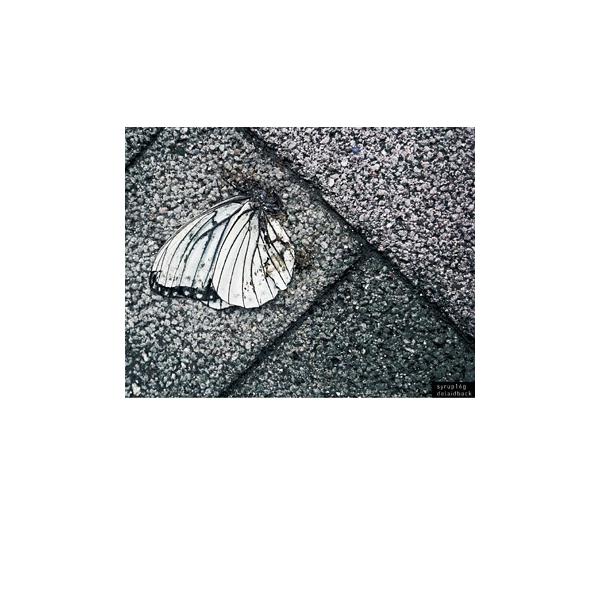 【発売日：2017年11月08日】syrup 16g/delaidback、メディア：CDA、発売日：2017/11/08、商品コード：UKDZ-190、JANコード/ISBNコード：4514306013870