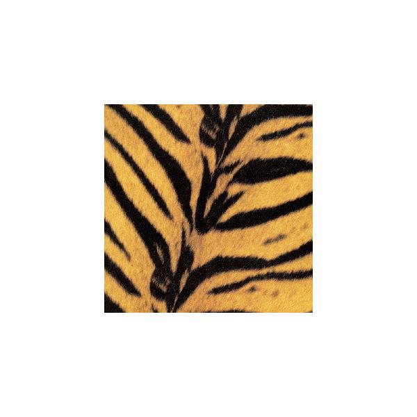 【発売日：2026年03月25日】THE HIGH-LOWS/Tigermobile、メディア：CDA、発売日：2026/03/25、商品コード：UPCY-8080、JANコード/ISBNコード：4988031846902