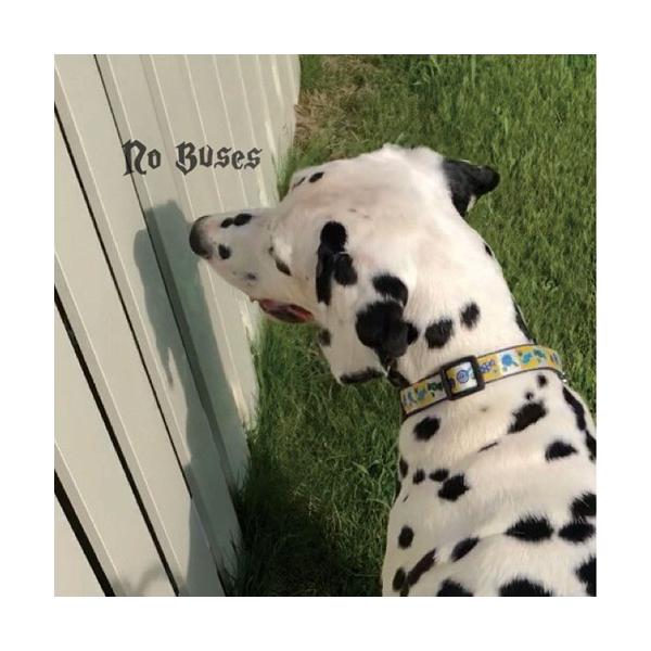 【発売日：2019年09月11日】No Buses/Boys Loved Her、メディア：CDA、発売日：2019/09/11、商品コード：UXCL-219、JANコード/ISBNコード：4582169618228