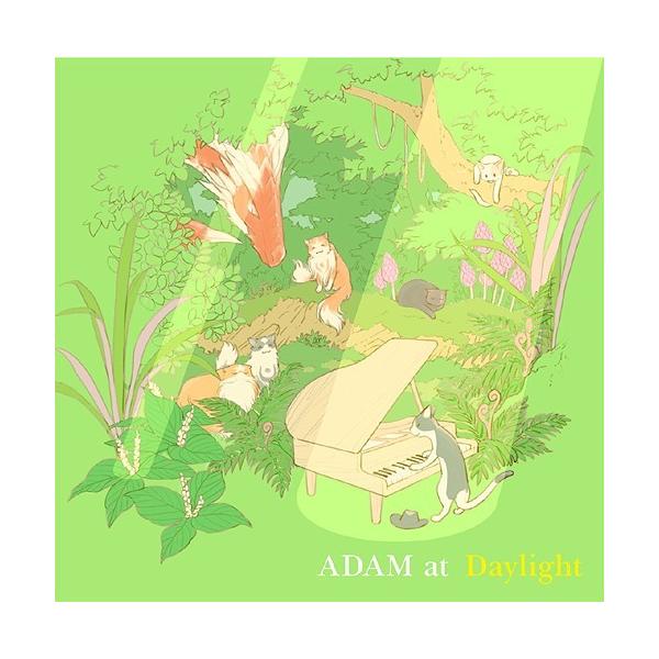 【発売日：2021年06月23日】ADAM at/Daylight、メディア：CDA、発売日：2021/06/23、商品コード：VICL-65515、JANコード/ISBNコード：4988002908455