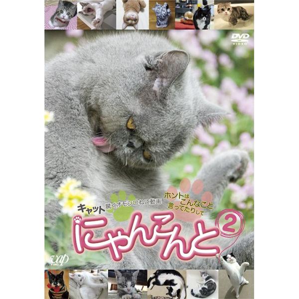 【発売日：2012年02月22日】バラエティ/にゃんこんと2 〜キャット驚くオモシロねこ動画 ホントはこんなこと言ってたりして〜、メディア：DVD、発売日：2012/02/22、商品コード：VPBF-13667、JANコード/ISBNコード...