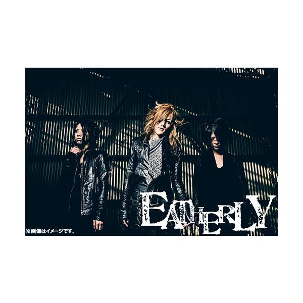 【発売日：2010年10月20日】EATHERLY/燦然と羨望の空、メディア：CDA、発売日：2010/10/20、商品コード：WAE-1、JANコード/ISBNコード：4582308070184
