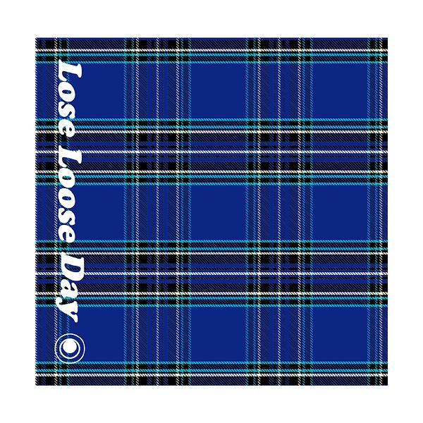 【発売日：2023年03月22日】美波/LOSE LOOSE Day [通常盤 (BLUE CHECK)]、メディア：CDA、発売日：2023/03/22、商品コード：WPCL-13465、JANコード/ISBNコード：4943674370245