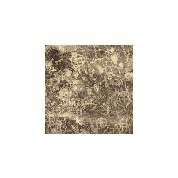 【発売日：2015年07月08日】Celer/How could you believe me when I said I loved you when you know I've been a liar all my life、メディア：...