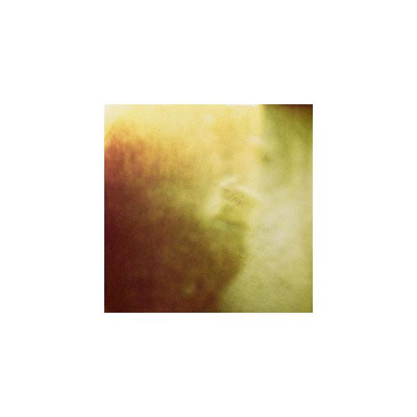 【発売日：2016年05月18日】Chihei Hatakeyama+Corey Fuller/Euphotic、メディア：CDA、発売日：2016/05/18、商品コード：WPMC-33、JANコード/ISBNコード：4941135980651