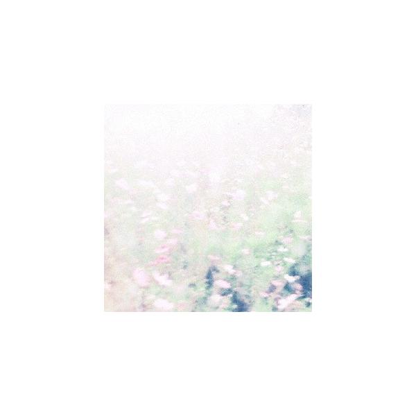 【発売日：2016年09月14日】Chihei Hatakeyama + Hakobune/The fall rises、メディア：CDA、発売日：2016/09/14、商品コード：WPMC-36、JANコード/ISBNコード：494113...