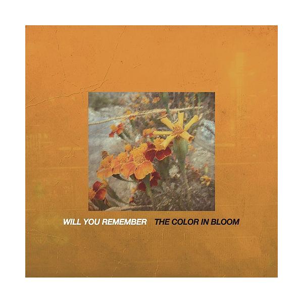 【発売日：2018年03月07日】Will You Remember/The Color In Bloom、メディア：CDA、発売日：2018/03/07、商品コード：WYR-1、JANコード/ISBNコード：4582308081166
