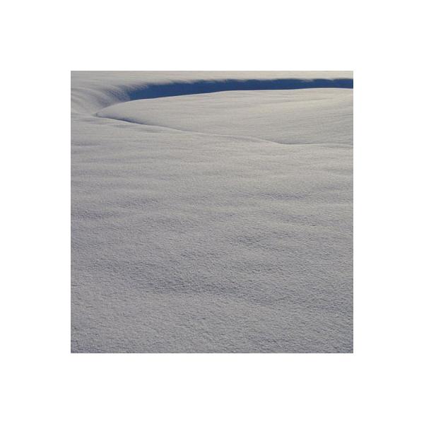 【発売日：2011年09月07日】Laika Came Back/Landed、メディア：CDA、発売日：2011/09/07、商品コード：XQKQ-1001、JANコード/ISBNコード：4958137541018