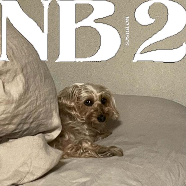 【発売日：2025年04月30日】No Buses/NB2、メディア：CDA、発売日：2025/04/30、商品コード：XQNK-1038、JANコード/ISBNコード：4580339371256