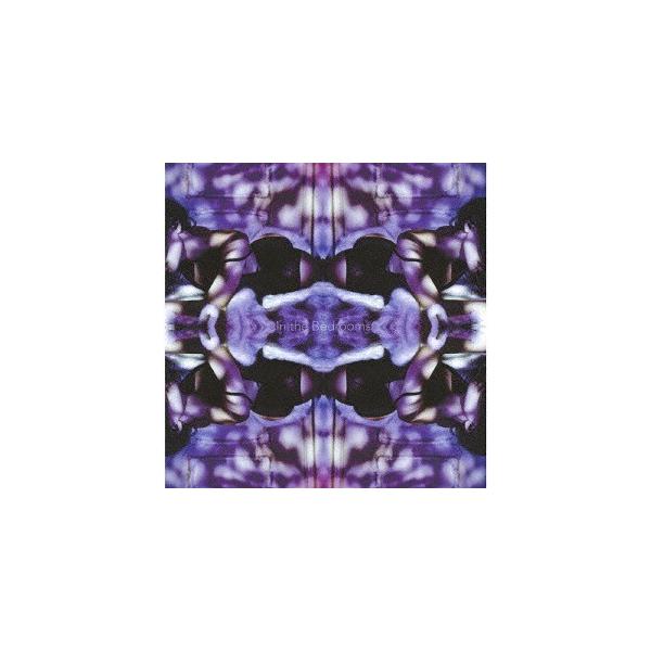 【発売日：2019年06月12日】Yaoki Hirai &amp; COCOshuniQue/In the Bedrooms、メディア：CDA、発売日：2019/06/12、商品コード：YHCO-1、JANコード/ISBNコード：4525...