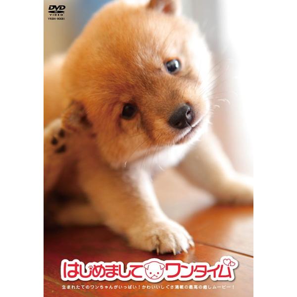 【発売日：2009年11月25日】趣味教養/はじめまして ワンタイム、メディア：DVD、発売日：2009/11/25、商品コード：YRBN-90081、JANコード/ISBNコード：4580204756010