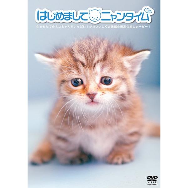 【発売日：2009年11月25日】趣味教養/はじめまして ニャンタイム、メディア：DVD、発売日：2009/11/25、商品コード：YRBN-90082、JANコード/ISBNコード：4580204756027