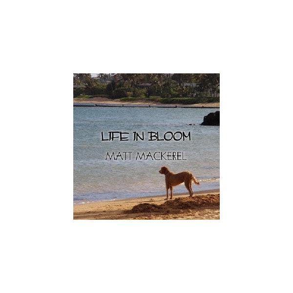 【発売日：2010年11月03日】MATT MACKEREL/LIFE IN BLOOM、メディア：CDA、発売日：2010/11/03、商品コード：YYCF-125、JANコード/ISBNコード：4562134570294