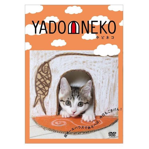 【発売日：2016年05月25日】バラエティ/YADONEKO-やどネコ-、メディア：DVD、発売日：2016/05/25、商品コード：ZMBH-9998、JANコード/ISBNコード：4935228151158