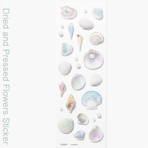 ( ナチュラル ステッカー ) 貝殻 ステッカー【 商用利用可 】メール便（ゆうパケット）なら30個まで可能 +素材 :   PET、PAPER+SIZE :   9.4cm x 15cm+入数 :   1枚（26ピース）+生産国：韓国　(...