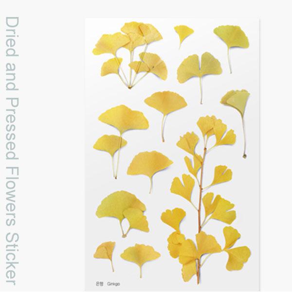 ( ドライフラワー風 ステッカー ) イチョウ 押し花スタイルステッカー 【 商用利用可 】メール便（ゆうパケット）なら30個まで可能 +素材 :   PET、PAPER　本物のドライフラワーではありません+SIZE :   9.4cm x...