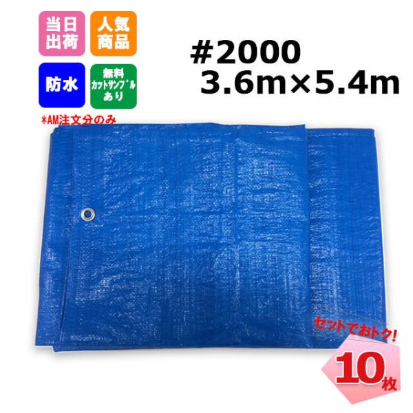 商品名 ブルーシート #2000サイズ 3.6m×5.4m仕上がり寸法 約 3.4m×5.3m入数 10枚耐久性と経済性のバランスが取れた＃2000番手養生や目隠し、雨・風からの保護によく使われます。○注意○呼び寸法と実際のサイズは違うシー...