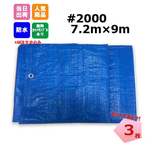 商品名 ブルーシート #2000サイズ 7.2m×9.0m 仕上がり寸法 約 6.9m×8.9m入数 3枚耐久性と経済性のバランスが取れた＃2000番手養生や目隠し、雨・風からの保護によく使われます。○注意○呼び寸法と実際のサイズは違うシー...