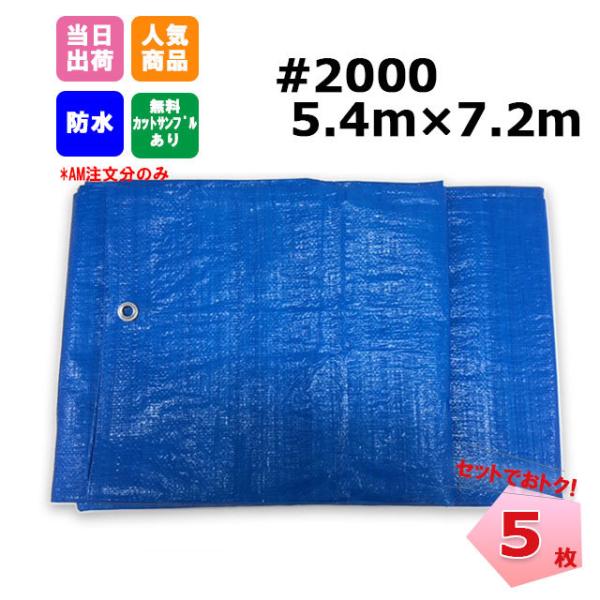 商品名 ブルーシート #2000サイズ 5.4m×7.2m 仕上がり寸法 約 5.2m×7.1m入数 5枚耐久性と経済性のバランスが取れた＃2000番手養生や目隠し、雨・風からの保護によく使われます。○注意○呼び寸法と実際のサイズは違うシー...