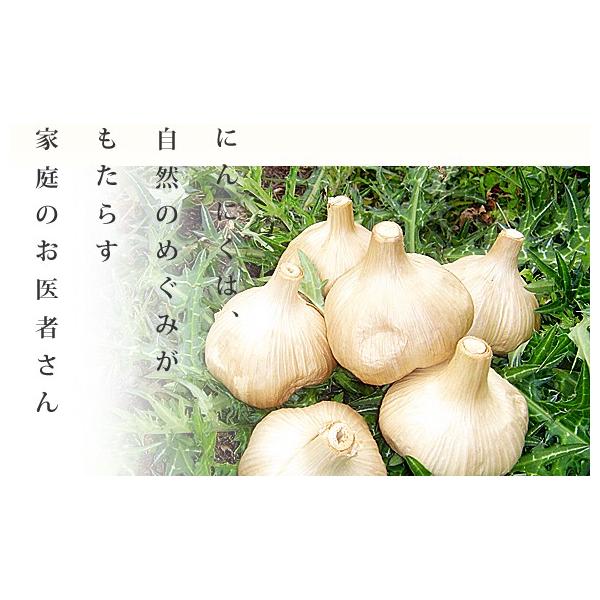 ※内容量変更のお知らせ※現在お届けしております本商品は、メーカー都合により200gから今後180gへ変更となります（価格変更なし）。200gを多めに仕入れておりますが、在庫がなくなり次第、180gへ切り替えとなります。あらかじめご了承くださ...