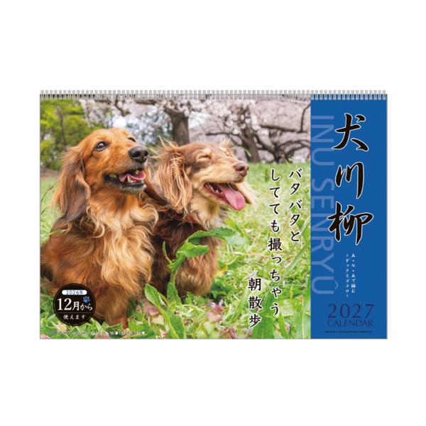 可愛いダックスたちの写真が癒される壁掛けカレンダーです。犬たちの面白いしぐさや行動を川柳たっぷり収録◎マンスリーページは、使いやすいブロック式♪【仕様】本体サイズ：約H257×W364mm14枚綴り　リング仕様　日本製2027ウォールカレン...