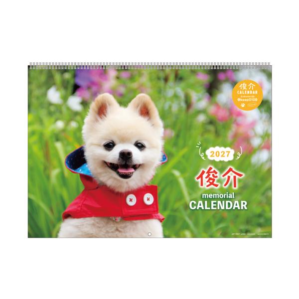 柴犬カットで大人気となったポメラニアン「俊介くん」の壁掛けカレンダーです。予定やメモをしっかりと書き込めるブロックタイプ♪【仕様】本体サイズ：約H257×W364mm13枚綴りリング仕様2027ウォールカレンダー　2027年壁掛けカレンダー...