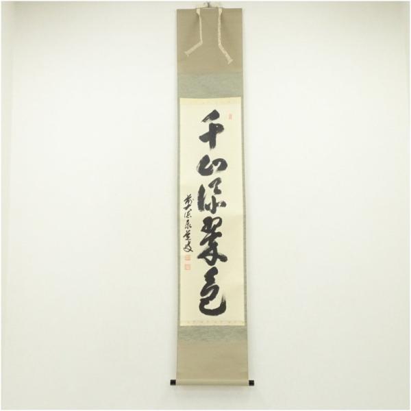 掛け軸 床の間 書 おしゃれ 絵画 表具 芸術 茶道 年中掛け インテリア 茶掛 掛物 和室 5月 春