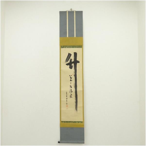 掛け軸 床の間 書 おしゃれ 絵画 表具 芸術 茶道 年中掛け インテリア 茶掛 掛物 和室 5月 7月 春夏